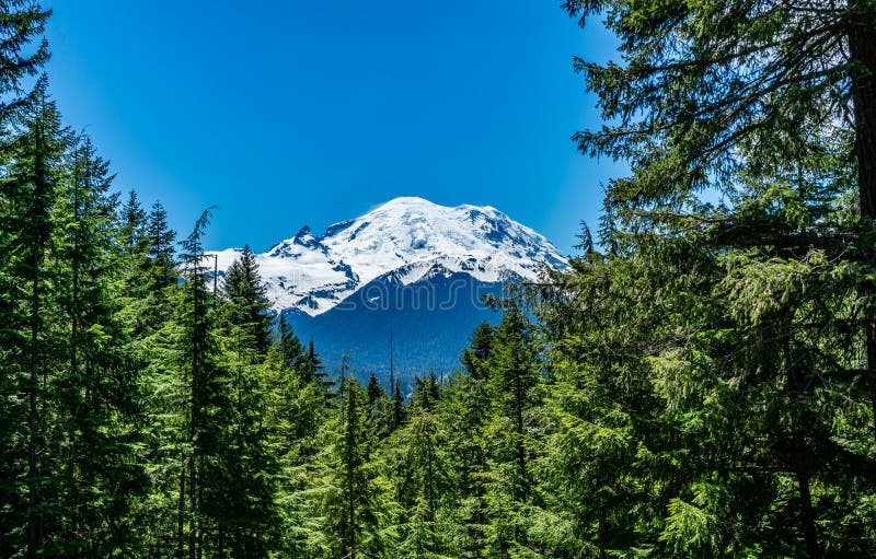 Highway 410 Mount Rainier 2 Stock Image - Image of park, highway: 321554585