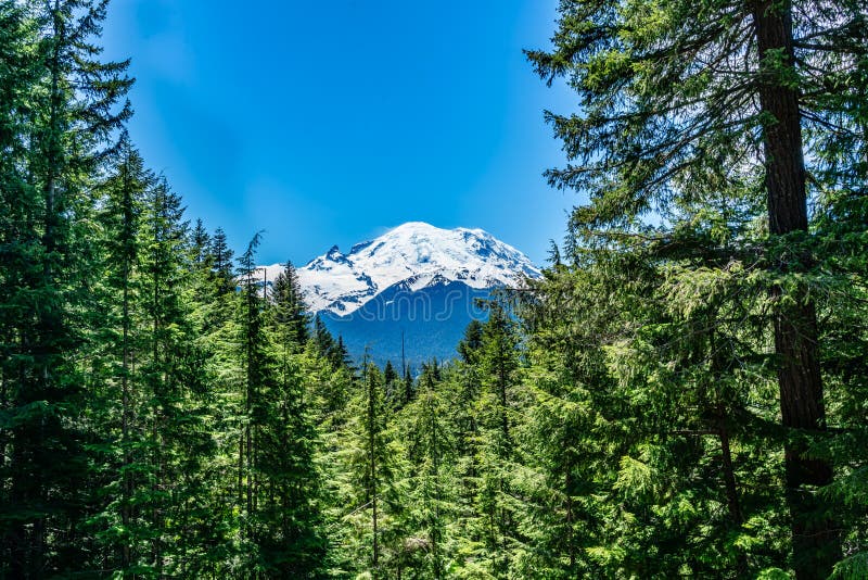Highway 410 Mount Rainier stock photo. Image of mount - 323644008