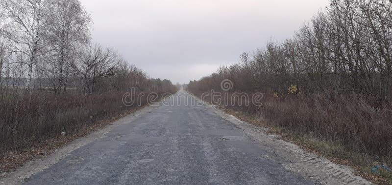 Highway Natural Forest Tree Ukraine Stock Image - Image of forest ...