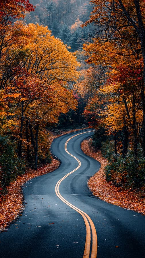 Highway Road through the Autumn Forest. Autumn Forest Road. Road in ...