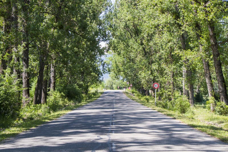 Highway and Road Landscape and View, Tree and Sunlight in Georgia Stock ...