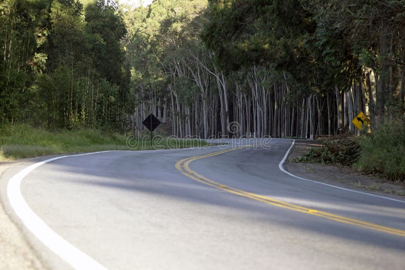 Highway scene. stock photo. Image of scene, tree, landscape - 32276512