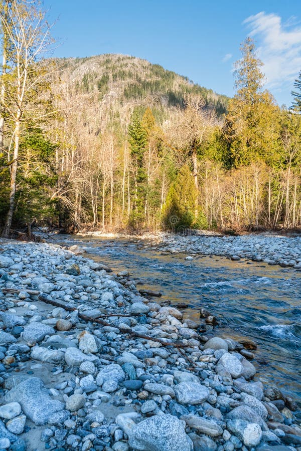Highway 20 Stream 3 stock image. Image of river, park - 356974547