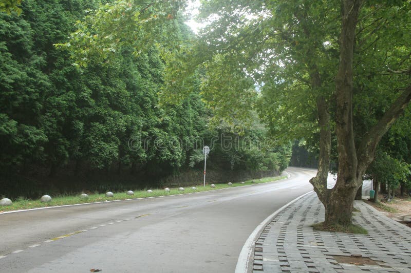Highway, trees stock photo. Image of quiet, leaf, foliage - 369784680