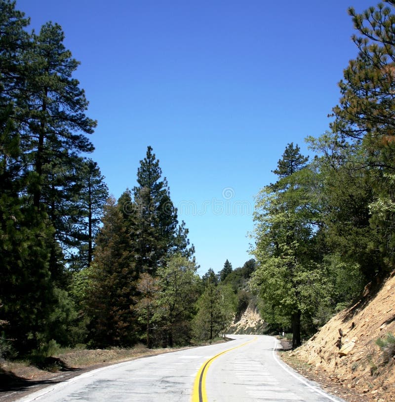 Highway 38 stock image. Image of pines, lanes, gray, forest - 41161415