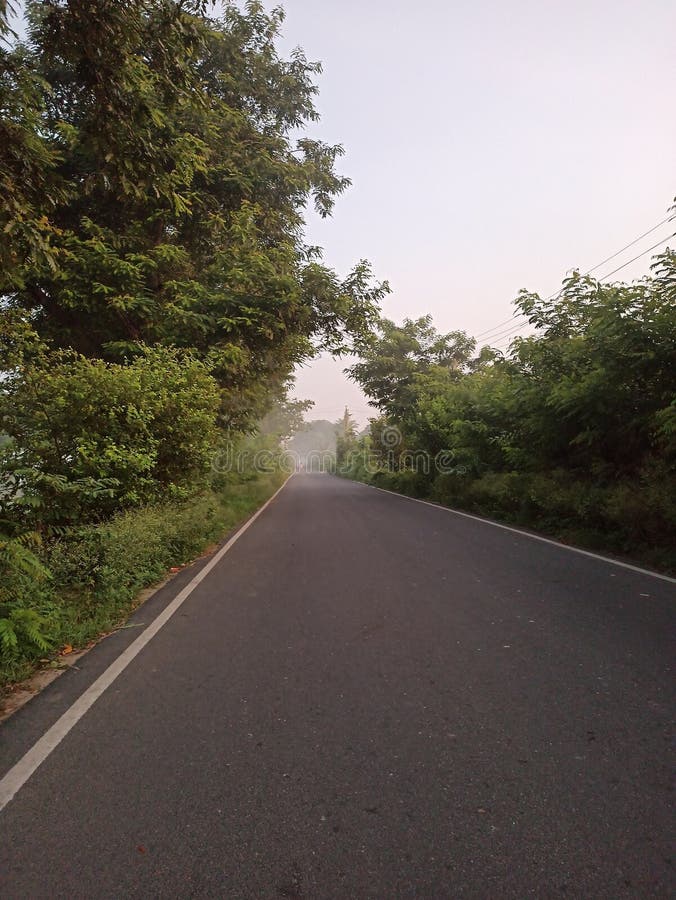 Highway stock image. Image of highway, soil, color, plant - 336942337