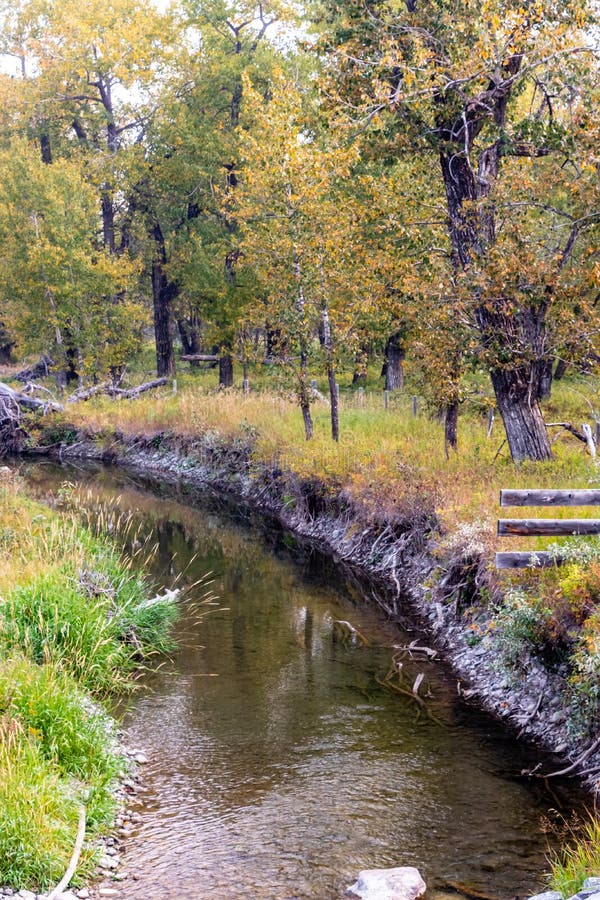Highwood River Flows through the County. Foothills County, Alberta ...