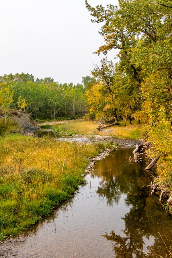Highwood River Flows through the County. Foothills County, Alberta ...