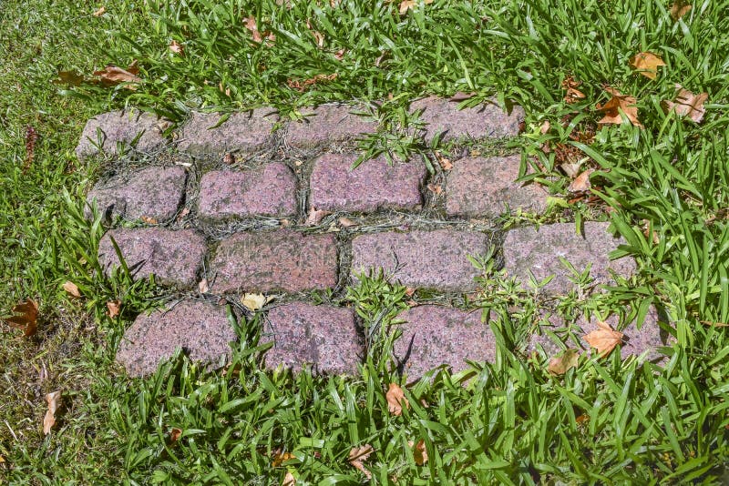 Cobblestone with Grass Bricks Showing Perspective. Stock Photo - Image ...