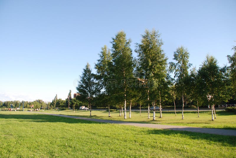 Hign Tree Picture. Image: 6180585