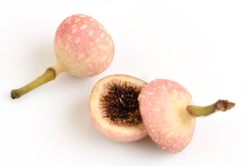 Higo sobre fondo blanco foto de archivo. Imagen de blanco - 44960730