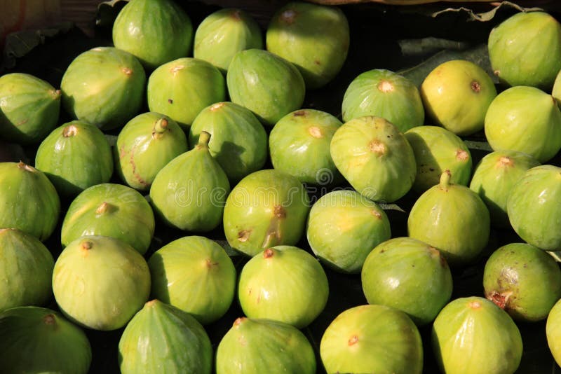 Higos verdes foto de archivo. Imagen de dieta, frugalidad - 20796524