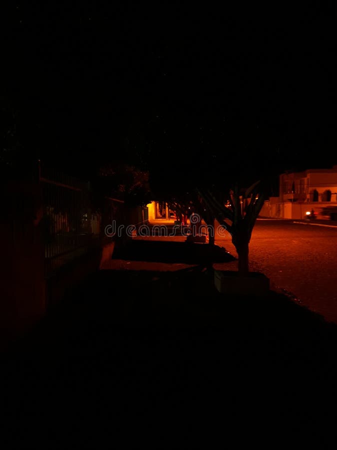 Higway City Night Tree Lonely Stock Image - Image of tree, higway ...