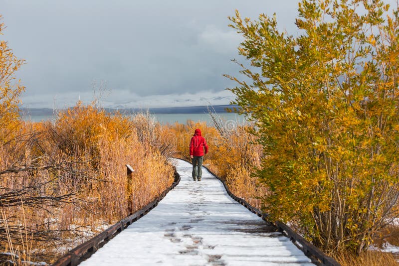 Hike in autumn season stock image. Image of path, mountaineering ...