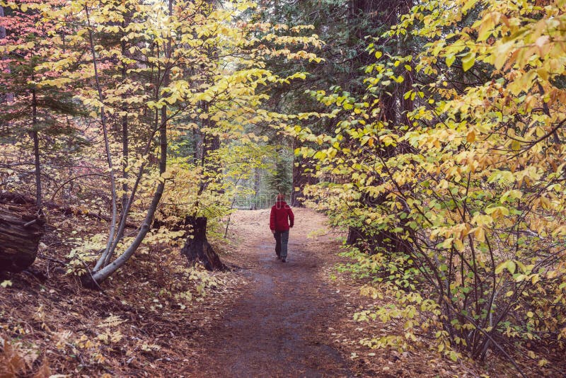 Hike in autumn season stock photo. Image of quiet, people - 255182676