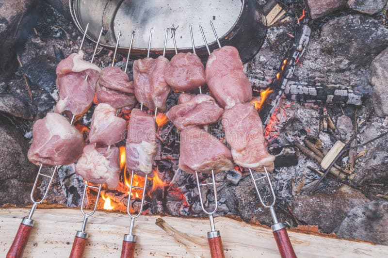 Hike on the Fire Fry Meat, BBQ Facilities Stock Image - Image of ...