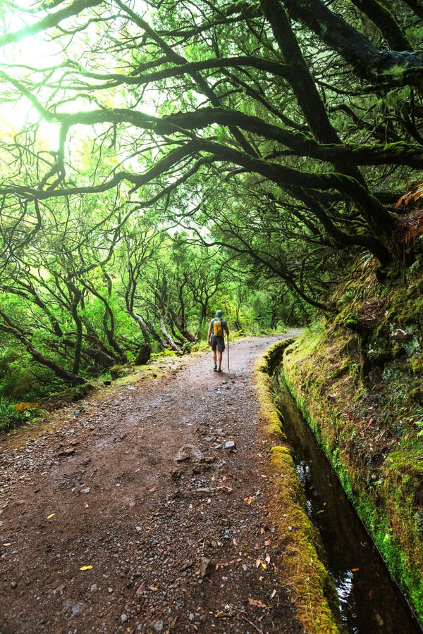 Hike in Madeira stock image. Image of adventure, move - 54173389