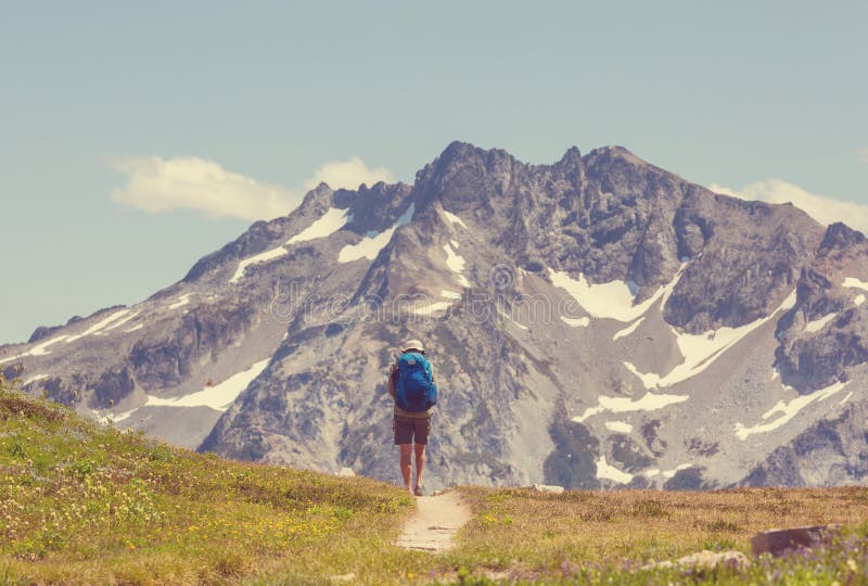 Hike in mountains stock photo. Image of wyoming, hiking - 274128506