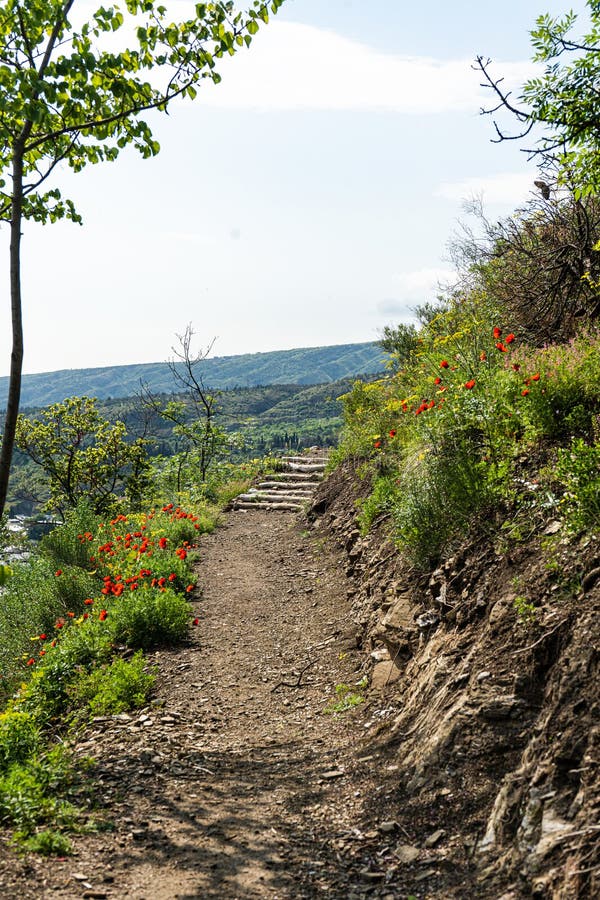 Hike Path on the Slope of Mtatsminda Mount Stock Image - Image of walk ...