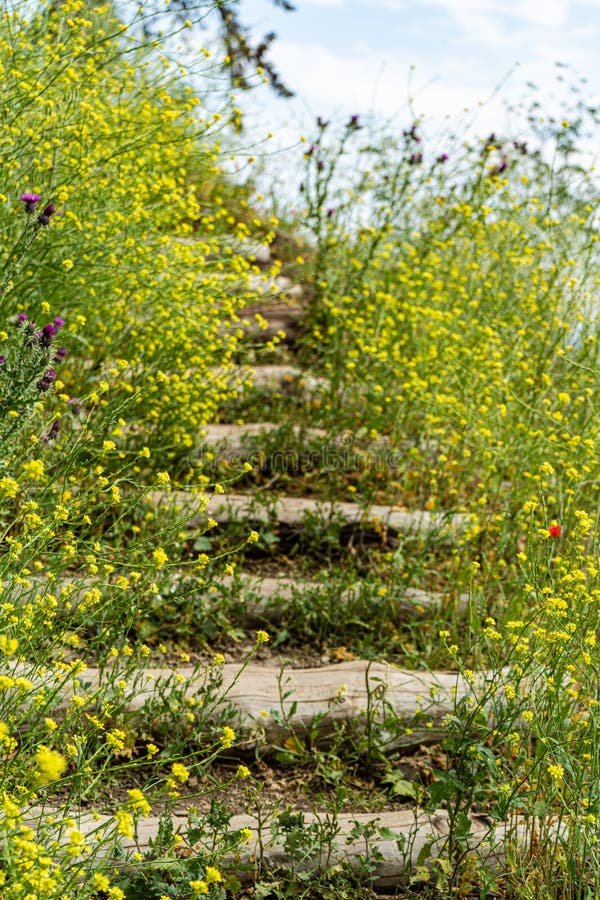 Hike Path on the Slope of Mtatsminda Mount Stock Photo - Image of ...
