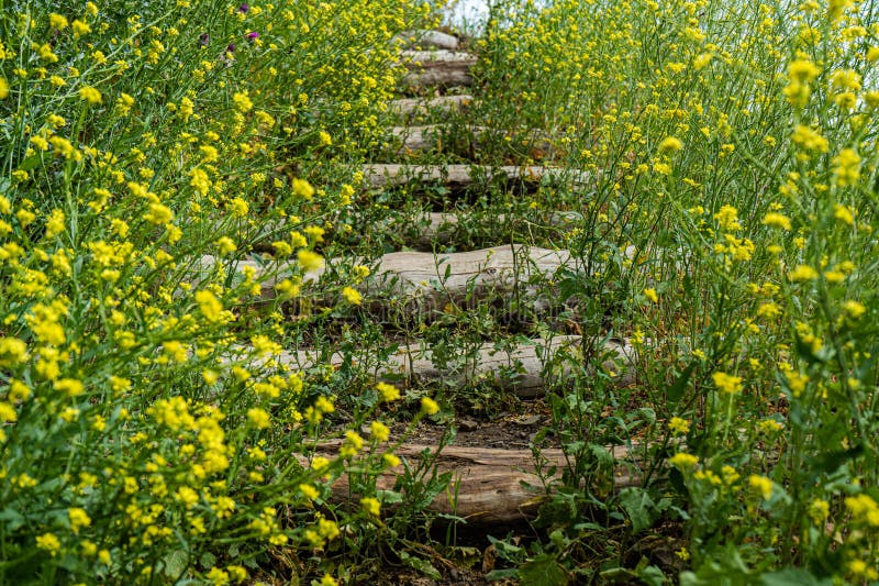 Hike Path on the Slope of Mtatsminda Mount Stock Photo - Image of ...