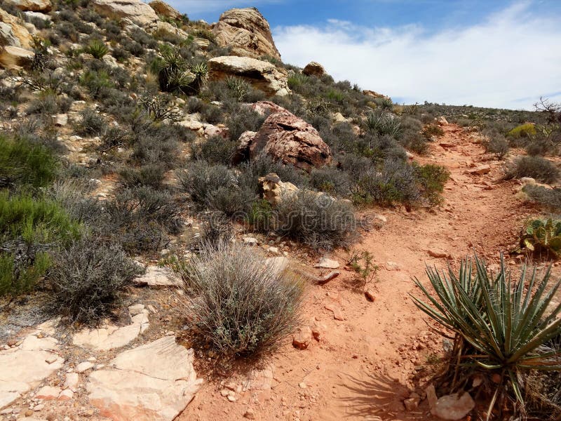 Hike through Red Rock Canyon Stock Image - Image of national, natural ...