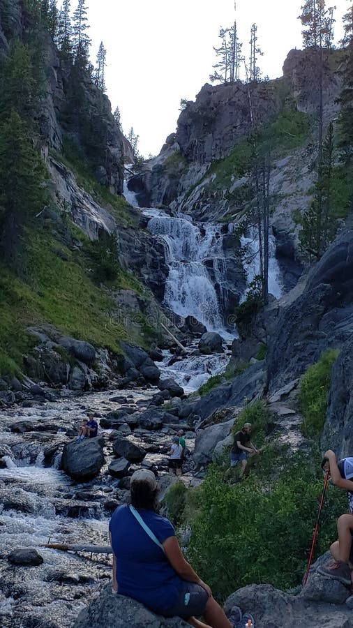 A Hike in Yellowstone National Park To the Falls Editorial Image ...