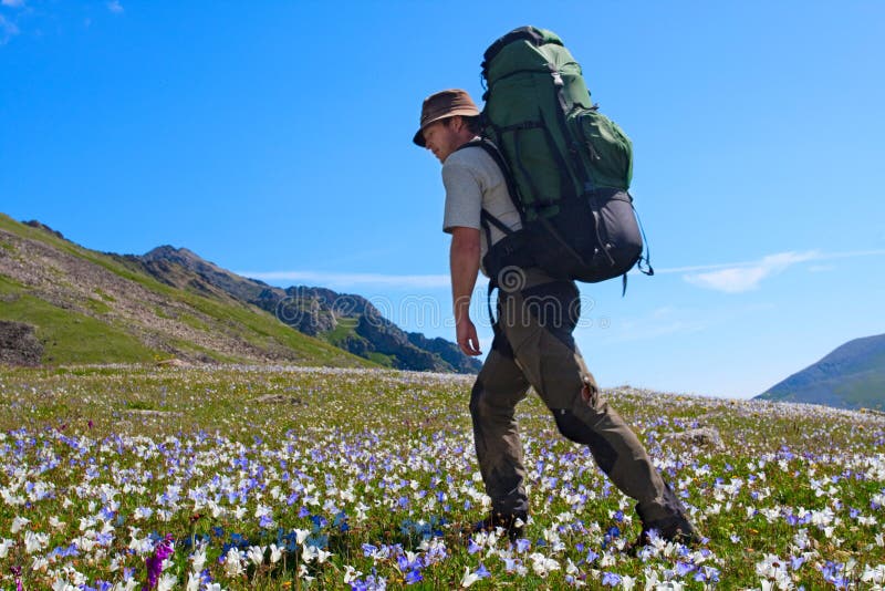Hiker stock image. Image of morning, flower, group, clouds - 13304873