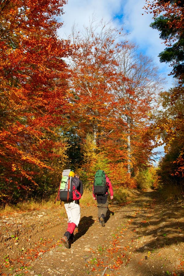 Hiker in autumn stock photo. Image of autumnal, path - 11933250