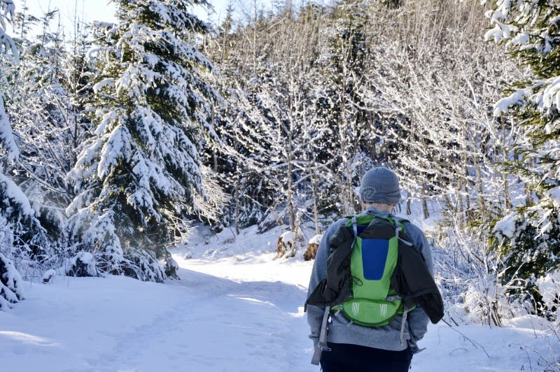 A Hiker from the Back Hiking in the Mountains Stock Image - Image of ...
