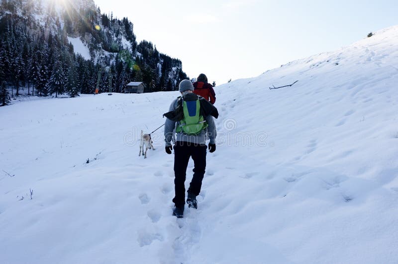 A Hiker from the Back Hiking in the Mountains Stock Photo - Image of ...