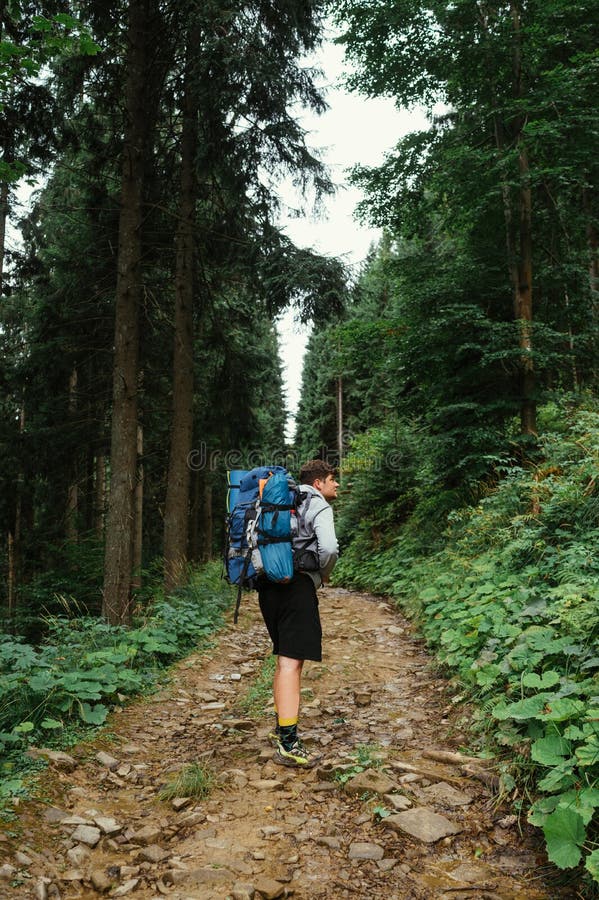 Hiker with a Backpack on His Back Walks on a Mountain Trail on a Hike ...