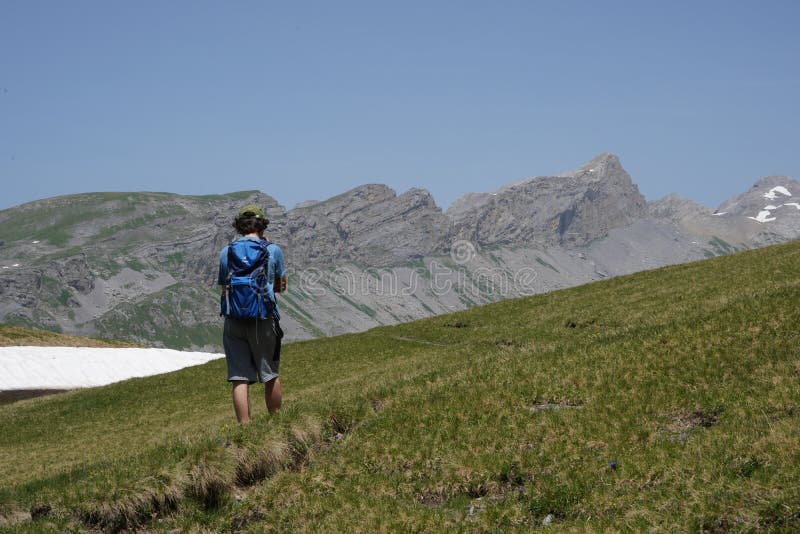 Alpine Walking Path in Rocky Mountain National Park Editorial Photo ...