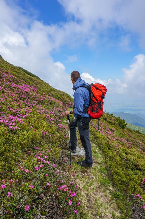 Hiker with backpack stock photo. Image of extreme, travel - 34272984