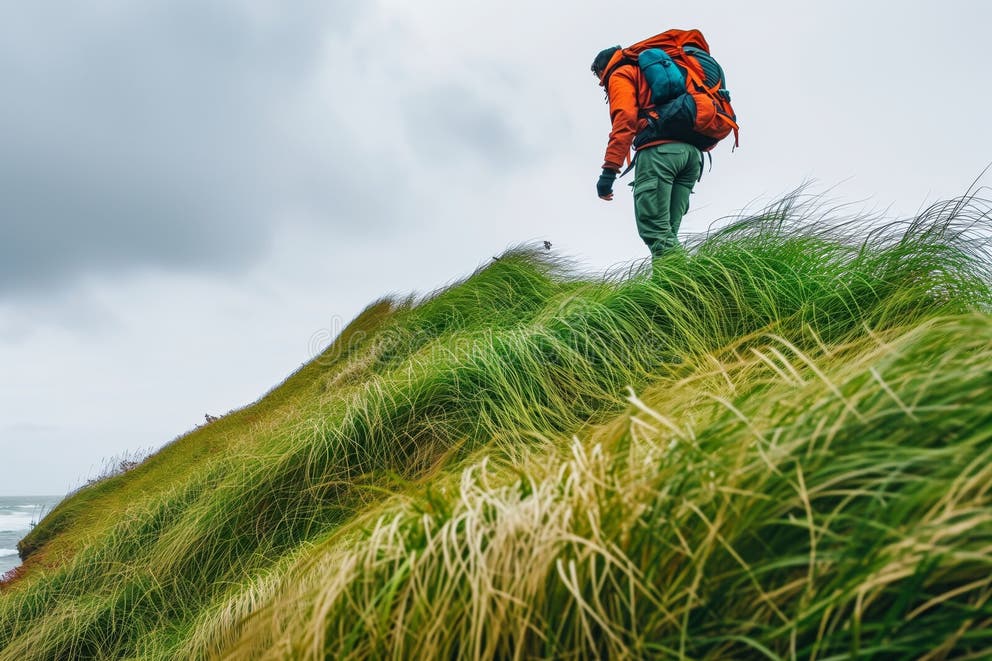Hiker with Backpack Standing on Top of a Grass Wave Stock Photo - Image ...