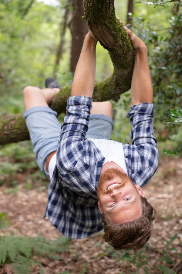 Hiker Climbing in Tree in Forest Stock Photo - Image of backpacking ...