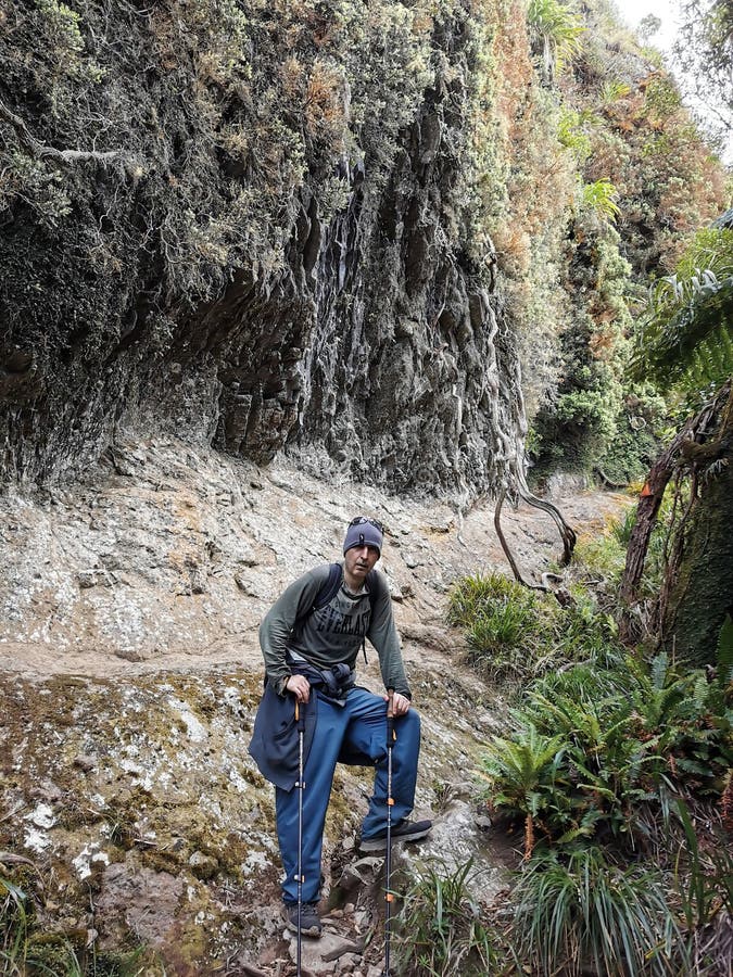 Hiker Exploring Rocky Forest Trail at Remote Wilderness Editorial Image ...