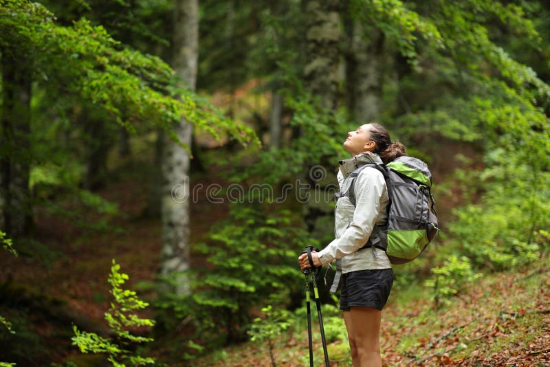 Hiker in a Forest Breathing Fresh Air Stock Image - Image of traveler ...
