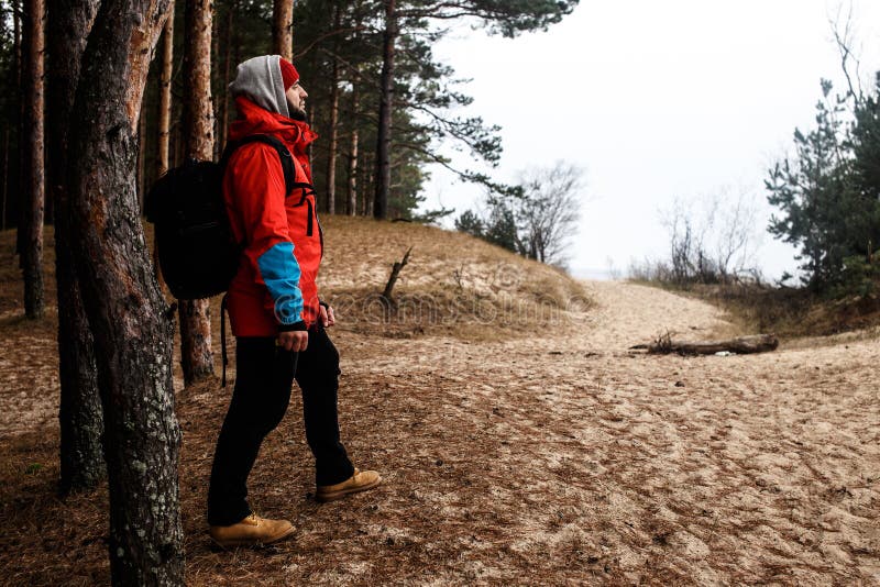 Hiker in the forest stock image. Image of landscape - 108619379