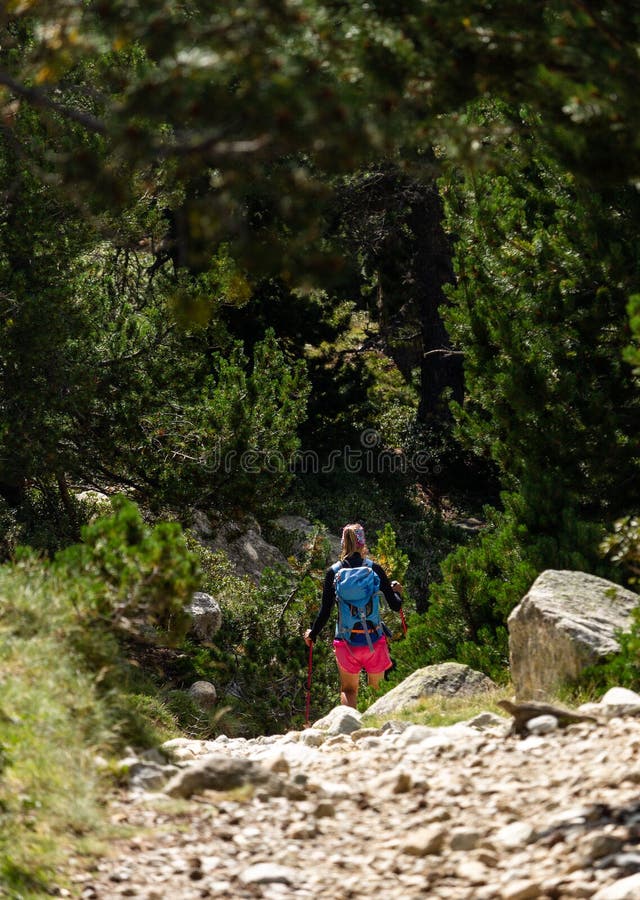 Hiker Girl in the Forest editorial photography. Image of backpack ...