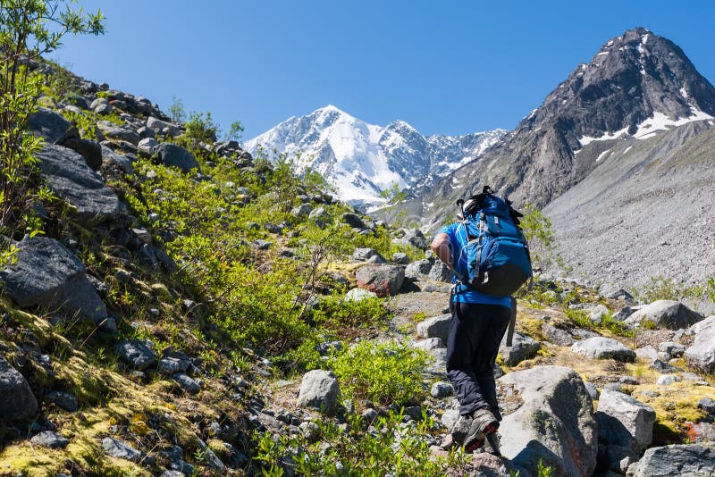 Hiker in Altai Mountains, Russian Federation Stock Image - Image of ...