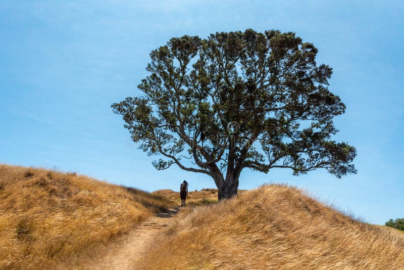 A Hiker Hiking on a Hill, a Scenic Sky Above Her Stock Image - Image of ...
