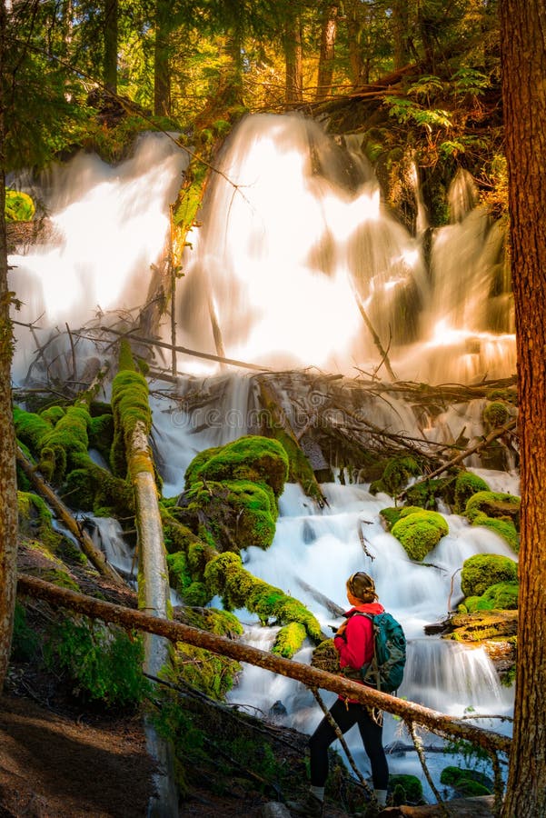 Beautiful Cascades of Clearwater Falls in Oregon Stock Photo - Image of ...