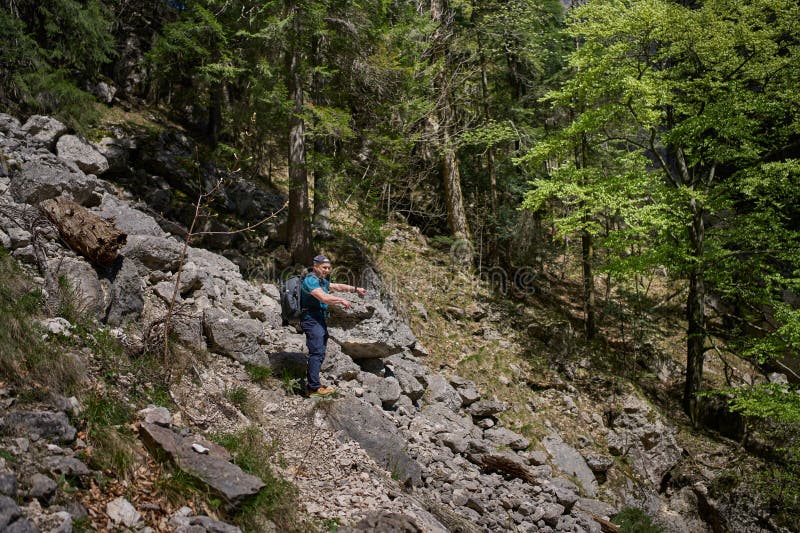 Hiker Pointing on Forested Slope Stock Photo - Image of path, natural ...