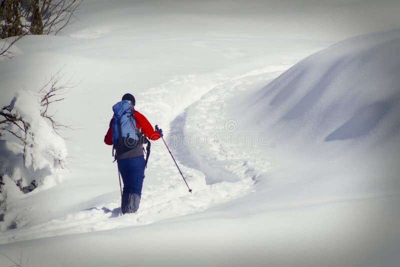 Hiker in snow editorial photo. Image of italy, hillside - 49858386