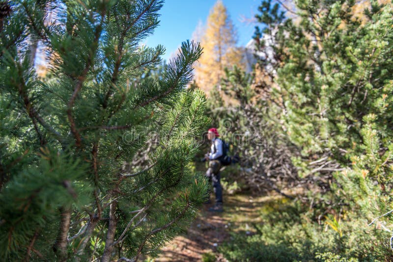 Hiker Trapped in the Heart of Nature Stock Photo - Image of multi ...