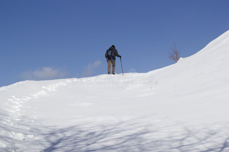 Hiker walking stock photo. Image of mountain, winter - 119299102