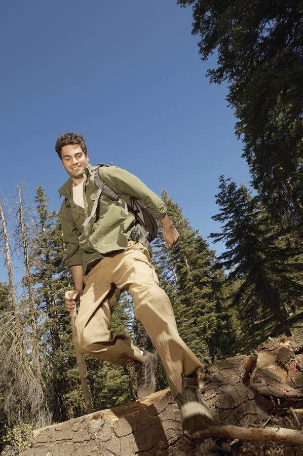 Hiker Walking Over Log in Forest Stock Photo - Image of track ...