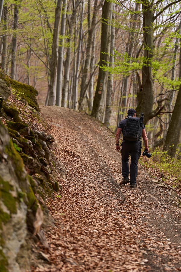 Hiker Walking Uphill on Forest Trail with Backpack and Camera Stock ...