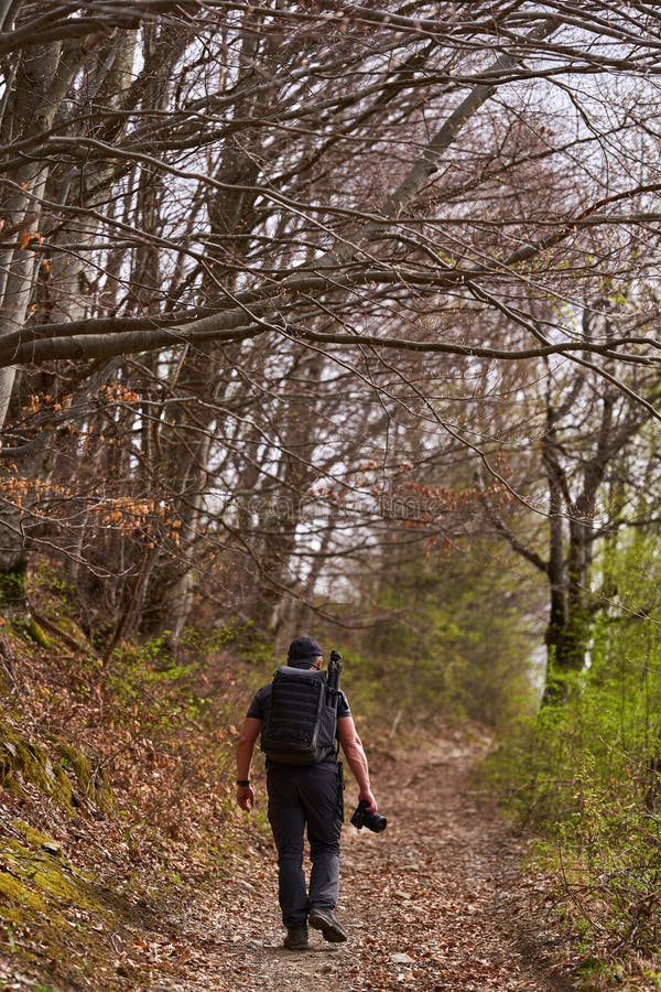 Hiker Walking Uphill Forest Trail Backpack Camera Stock Photos - Free ...